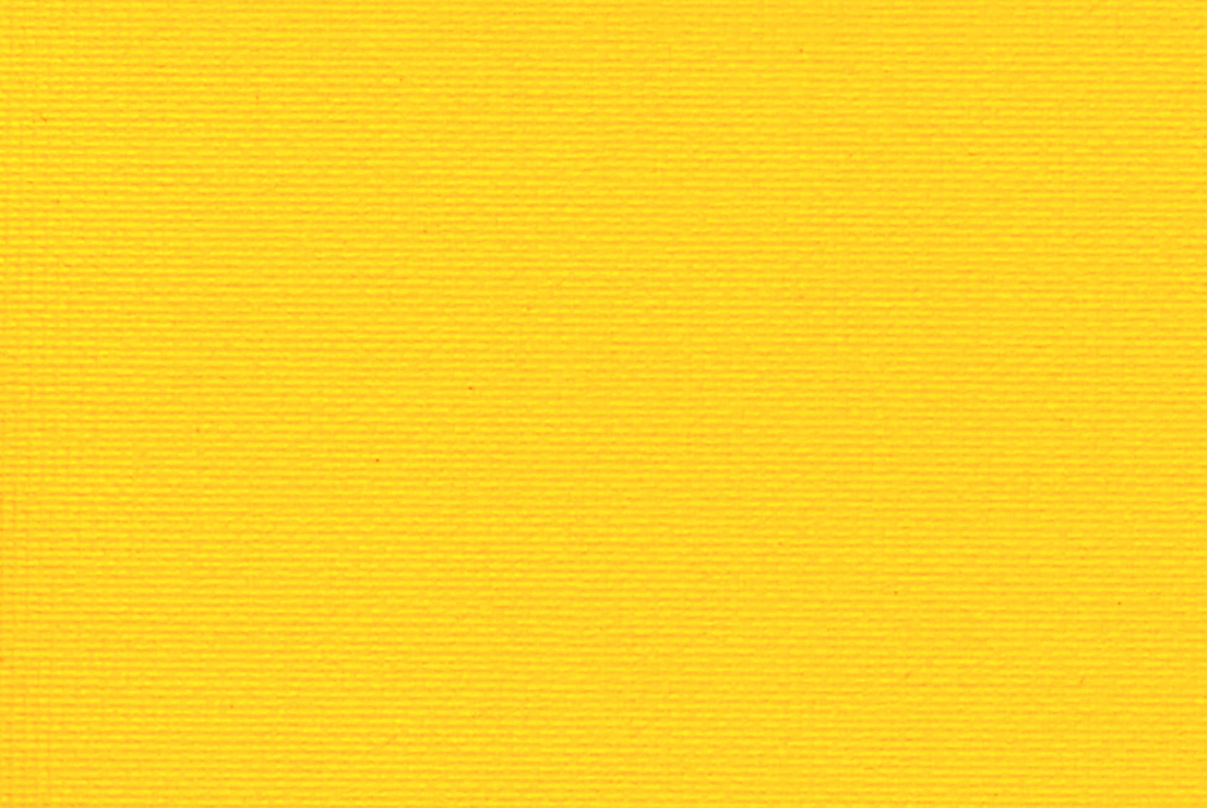 Yellow Roller Blind | Sunshine Yellow Blackout Blind | DotcomBlinds